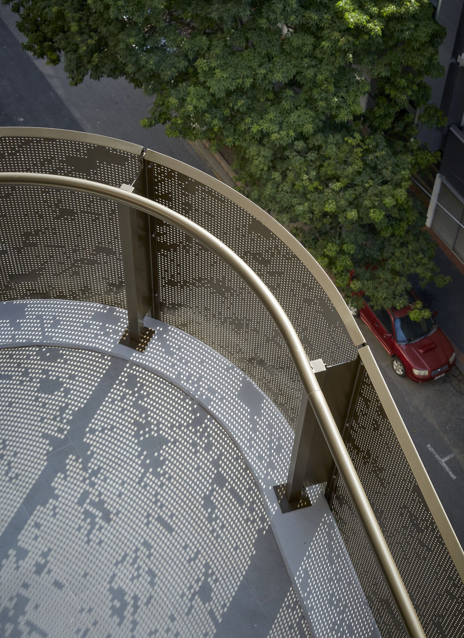 Chester & Ella | Milestone